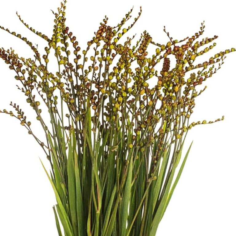 Wholesale Flower Pods for Weddings, Arrangements, and Events | Fabulous ...