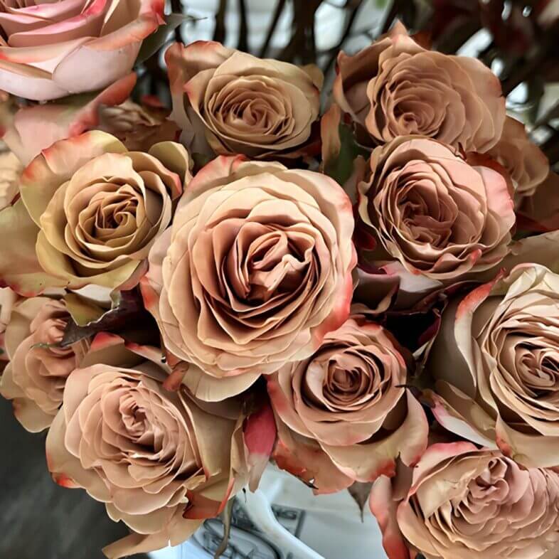 Buy Wholesale Green Veggie Roses Online – Guaranteed Fresh