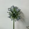 Blue Sky Perfume Allium | Fabulous Florals