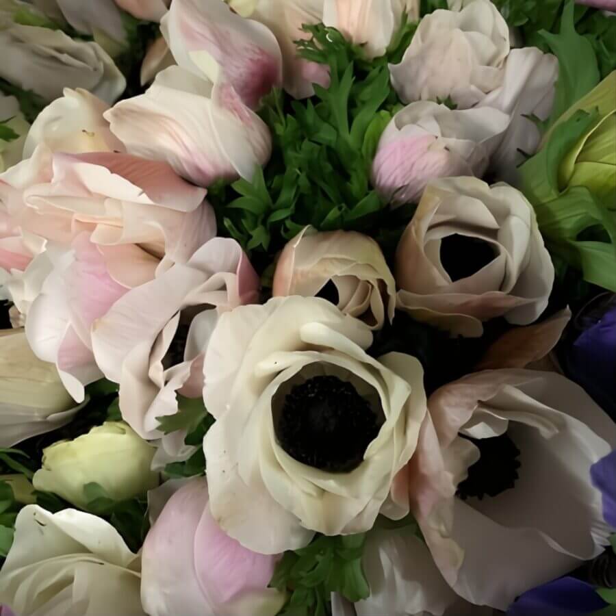 Fresh-Cut Wholesale Blush Flowers for Weddings and Events | Fabulous ...