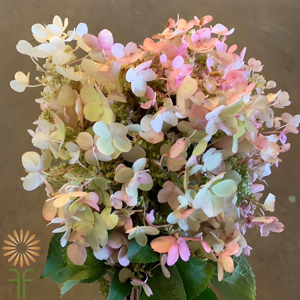 Wholesale Hydrangeas for Weddings, Arrangements, and Events | Fabulous ...