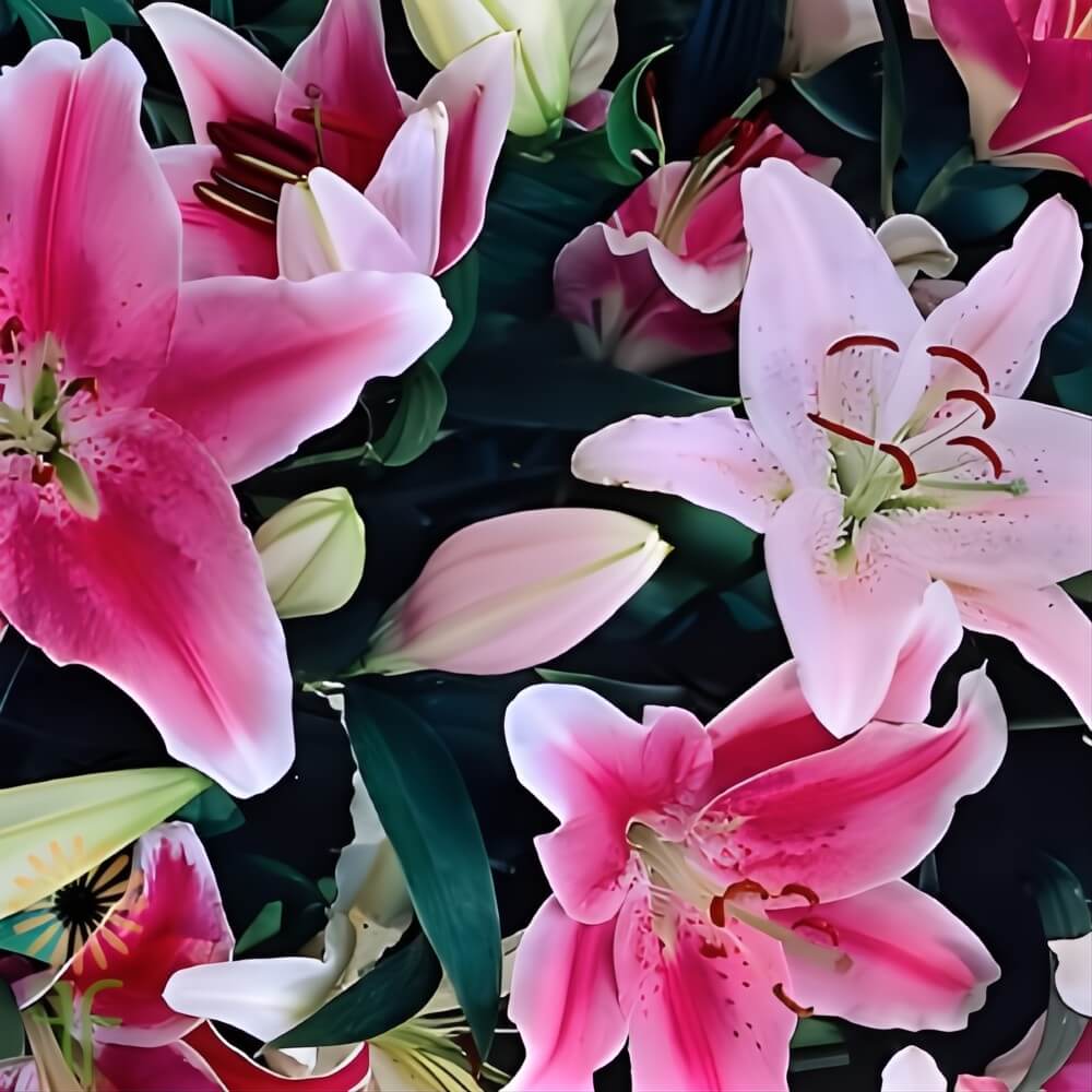 Buy Wholesale Oriental Lily Bouquet Online – Guaranteed Fresh