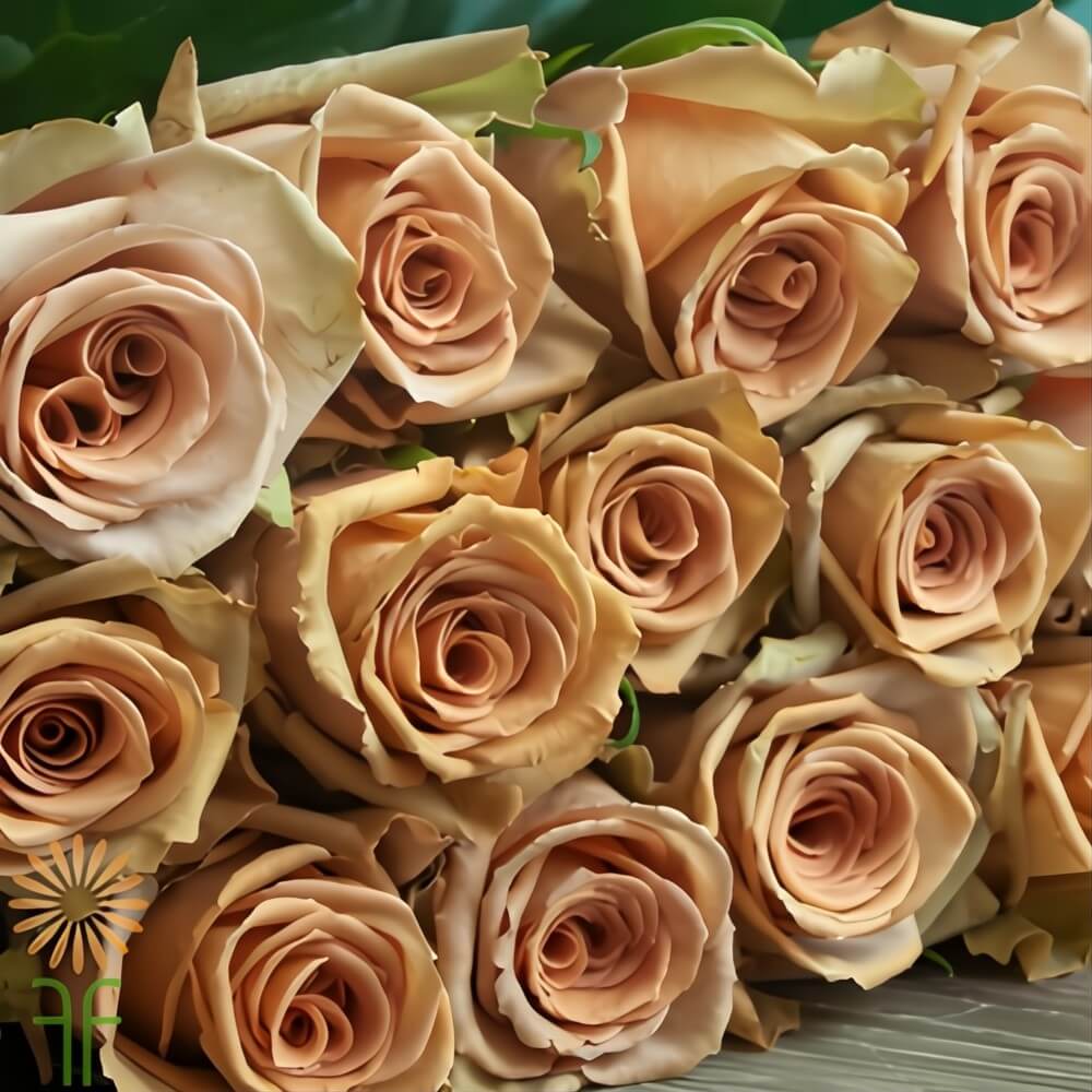 Fresh-Cut Wholesale Beige Flowers for Weddings and Events | Fabulous ...