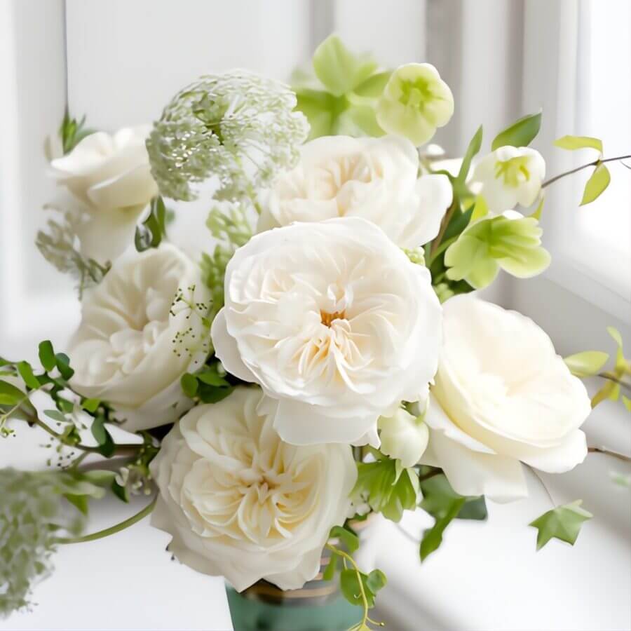 Ivory Leonora Garden Roses | Fabulous Florals