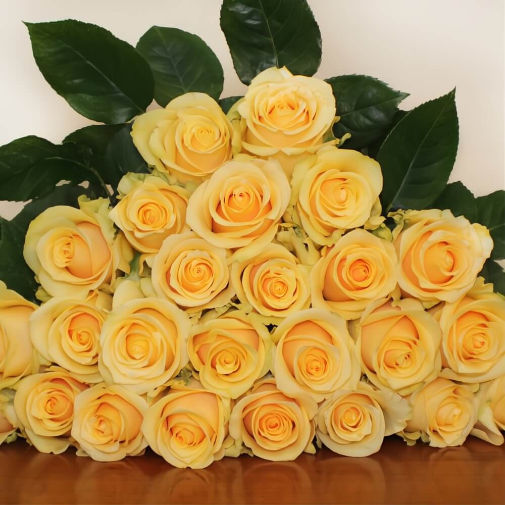 Buy Wholesale Gold Butterscotch Roses Online – Guaranteed Fresh