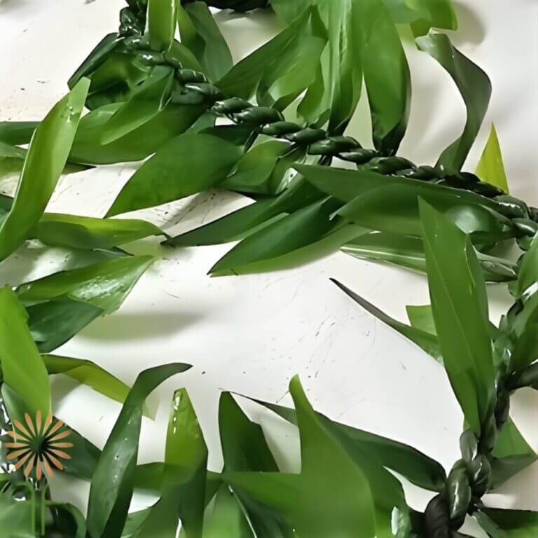 Green Ti Leaf Lei, single | Fabulous Florals