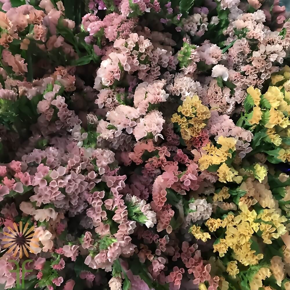 Wholesale Filler Flowers for Weddings, Arrangements, and Events ...