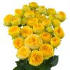 Step-by-Step DIY Flower Arranging for Events & Home