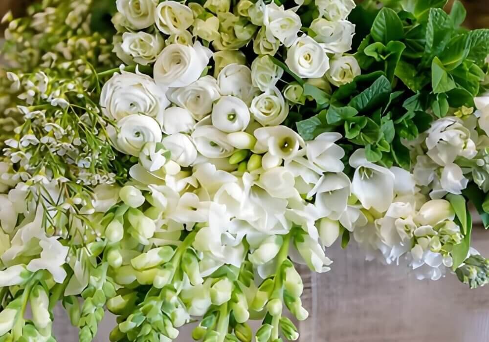 White Flowers – Fresh Wholesale Stems for Any Occasion